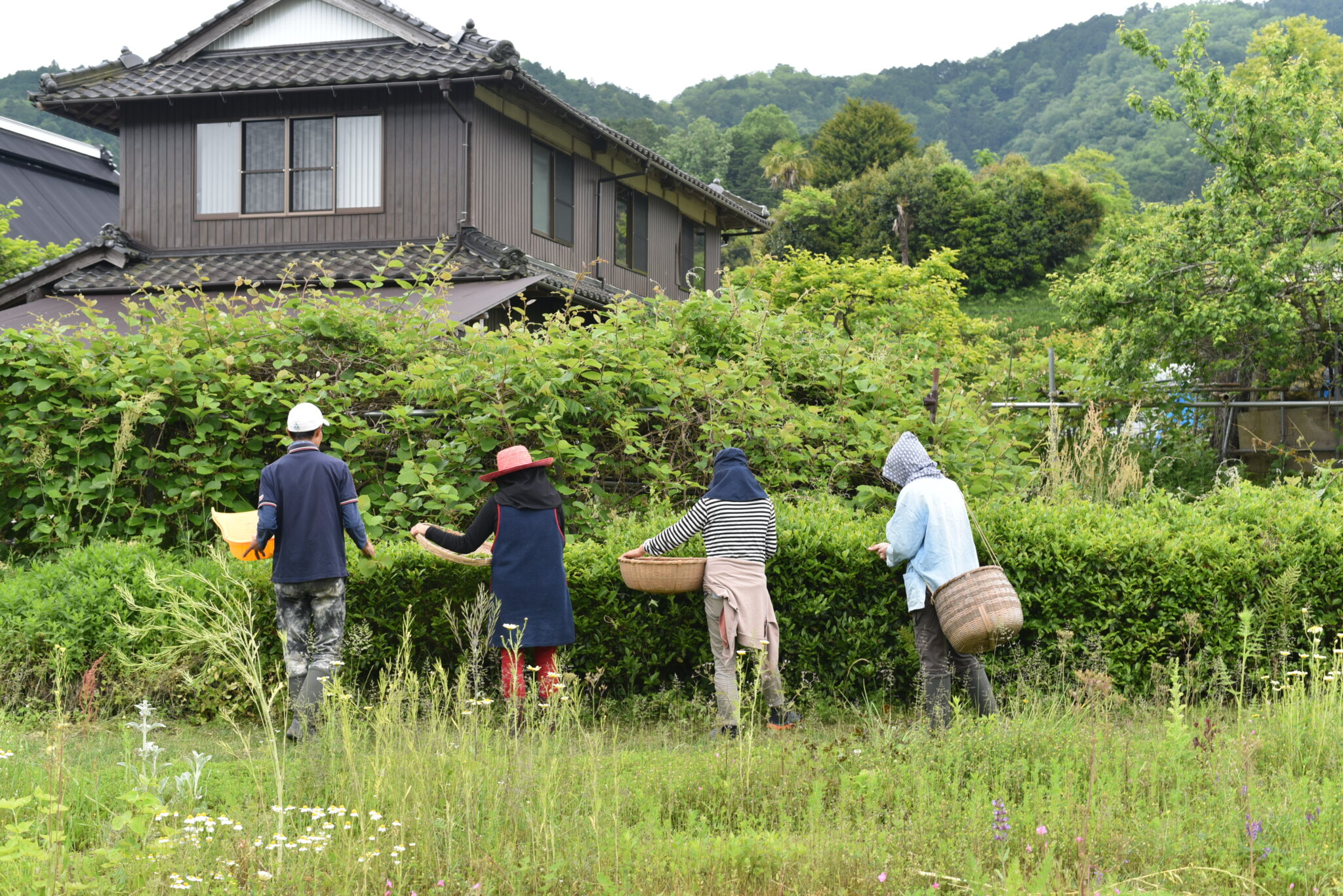 京都 綾部で昭和を感じる【おくどさん体験】| 田舎家そらしど
